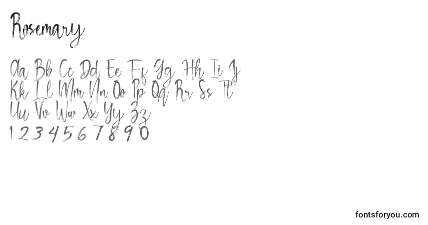 Rosemary Font – Download Free, Online Generator