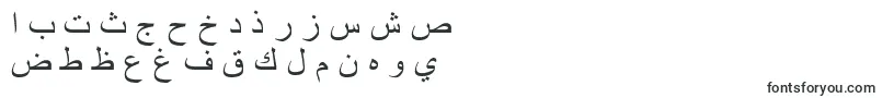 Polices arabes | FontsForYou