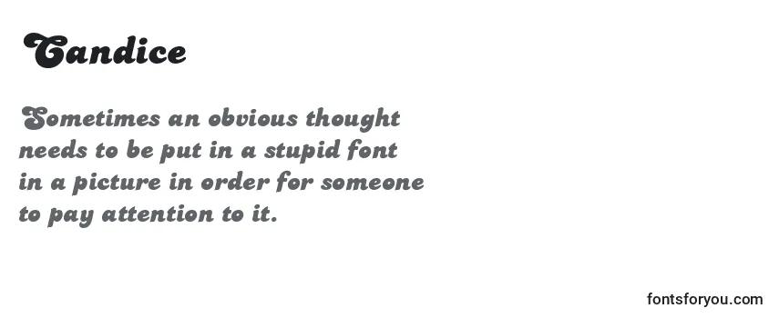 Candice Font – Download Free, Online Generator