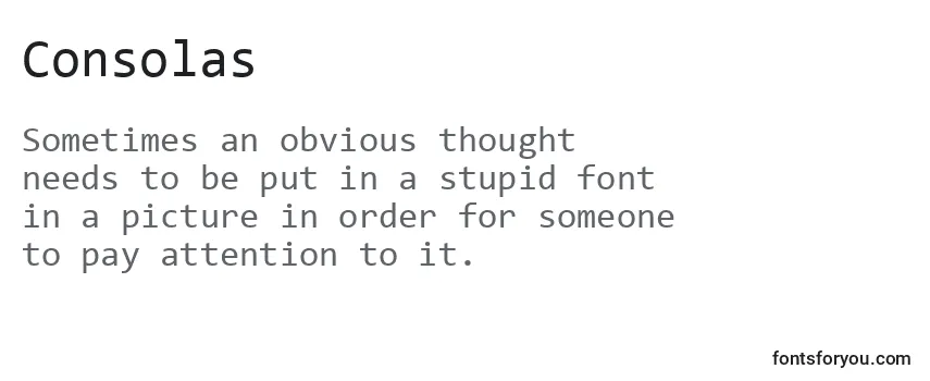 Consolas Font – Download Free, Online Generator